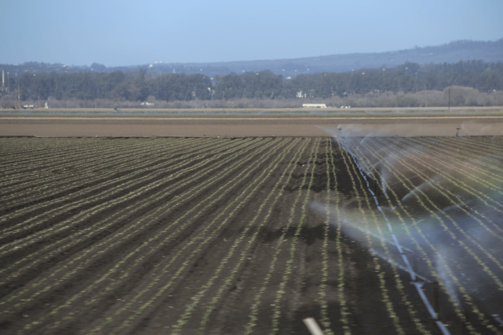 Your Meter, Your Champion: Protecting Your Water Rights in California ...